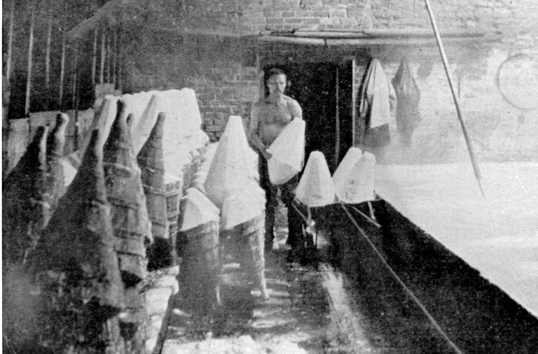 Explore Your Archives - Salt History in the Making - Saltscape